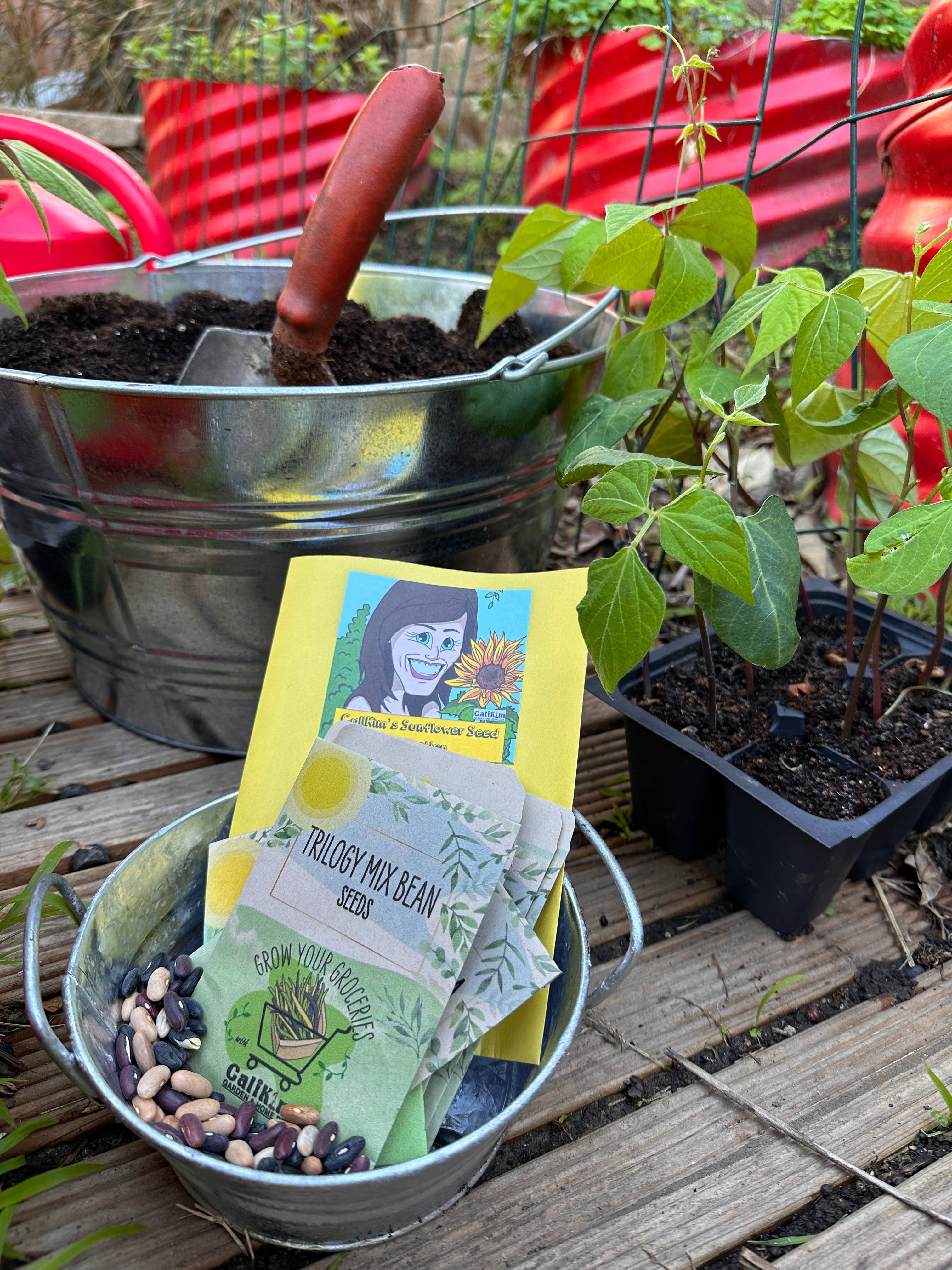 15 Tips for Organizing Your Seed Collections – CaliKim Garden & Home ...