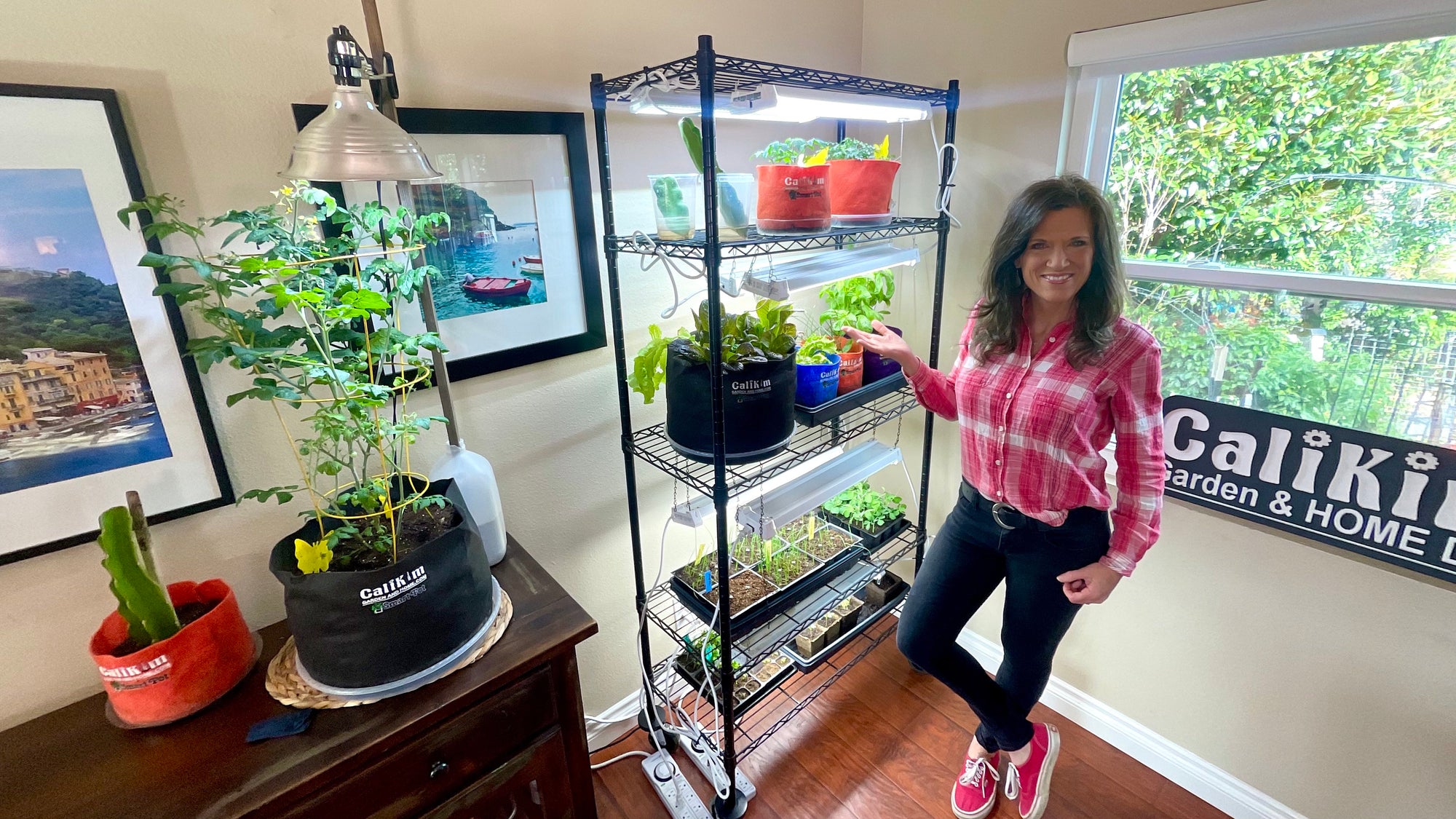 Indoor Garden Seed Collection - ALL NEW & IMPROVED! – CaliKim Garden ...